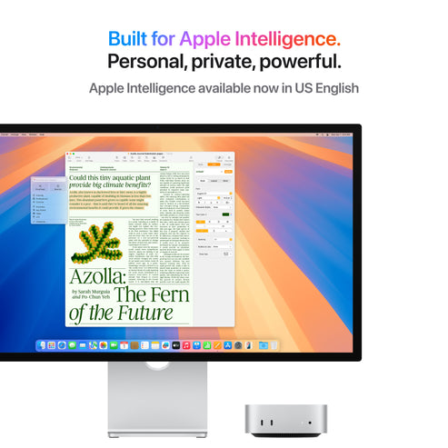Mac mini: Apple M4 chip with 10-core CPU and 10-core GPU, 512GB SSD ...